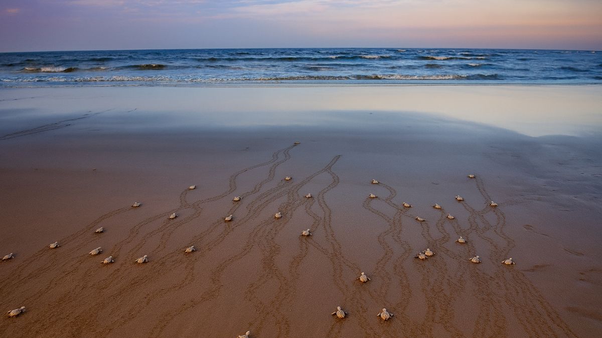 3 Day Konkan Trip Under 5000 — Must-Visit Guide